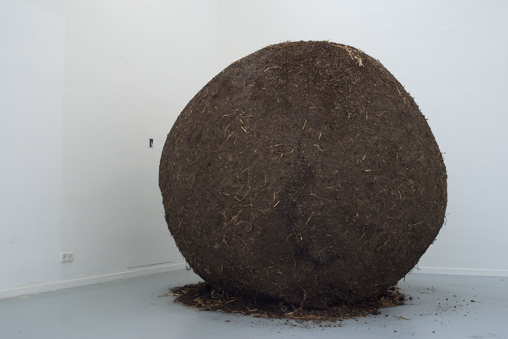 Rebecca Schwarzmeier