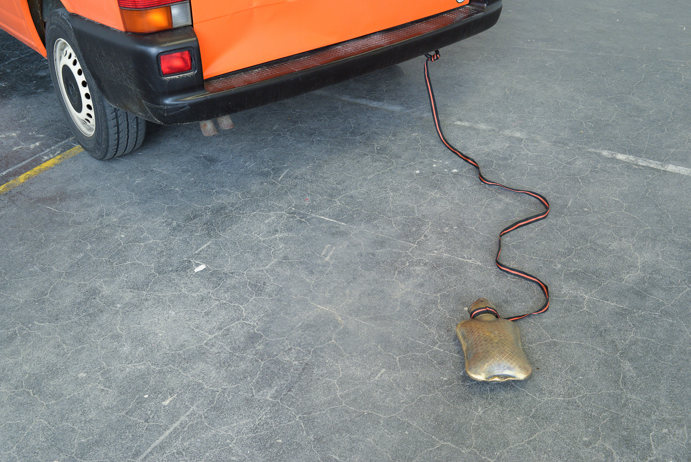 REBECCA SCHWARZMEIER