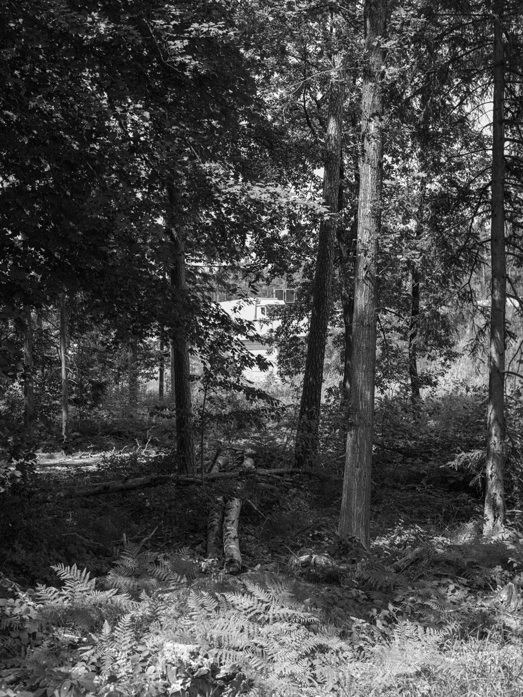 REBECCA SCHWARZMEIER — THE DISTANCE BETWEEN US IS ALWAYS THE SAME